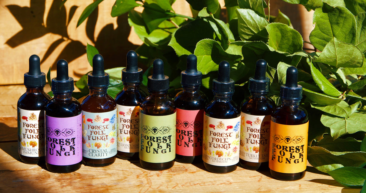 Medicinal Mushrooms – Medicinal Blends