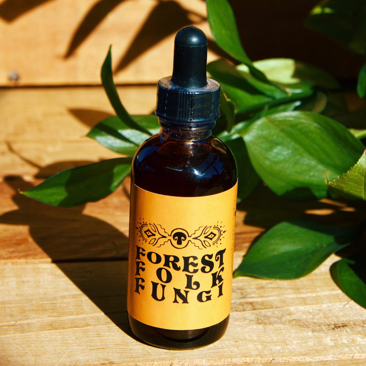 Cordy-Shine Tincture – Medicinal Blends